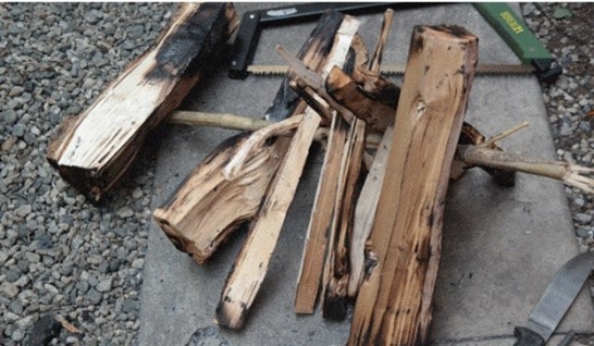 Scouting Skills – Bournemouth Explorers